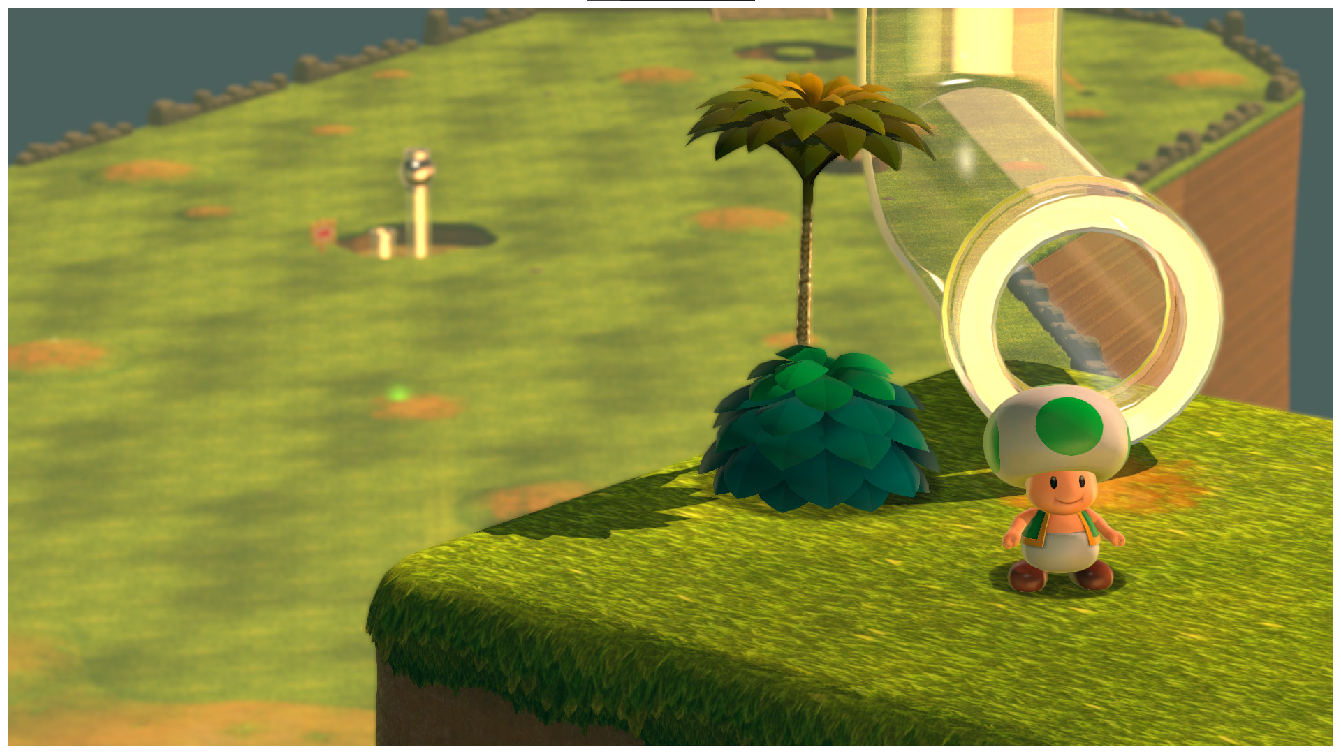 More Playable Toad Colors Mod for Super Mario 3D World + Bowser's Fury ...