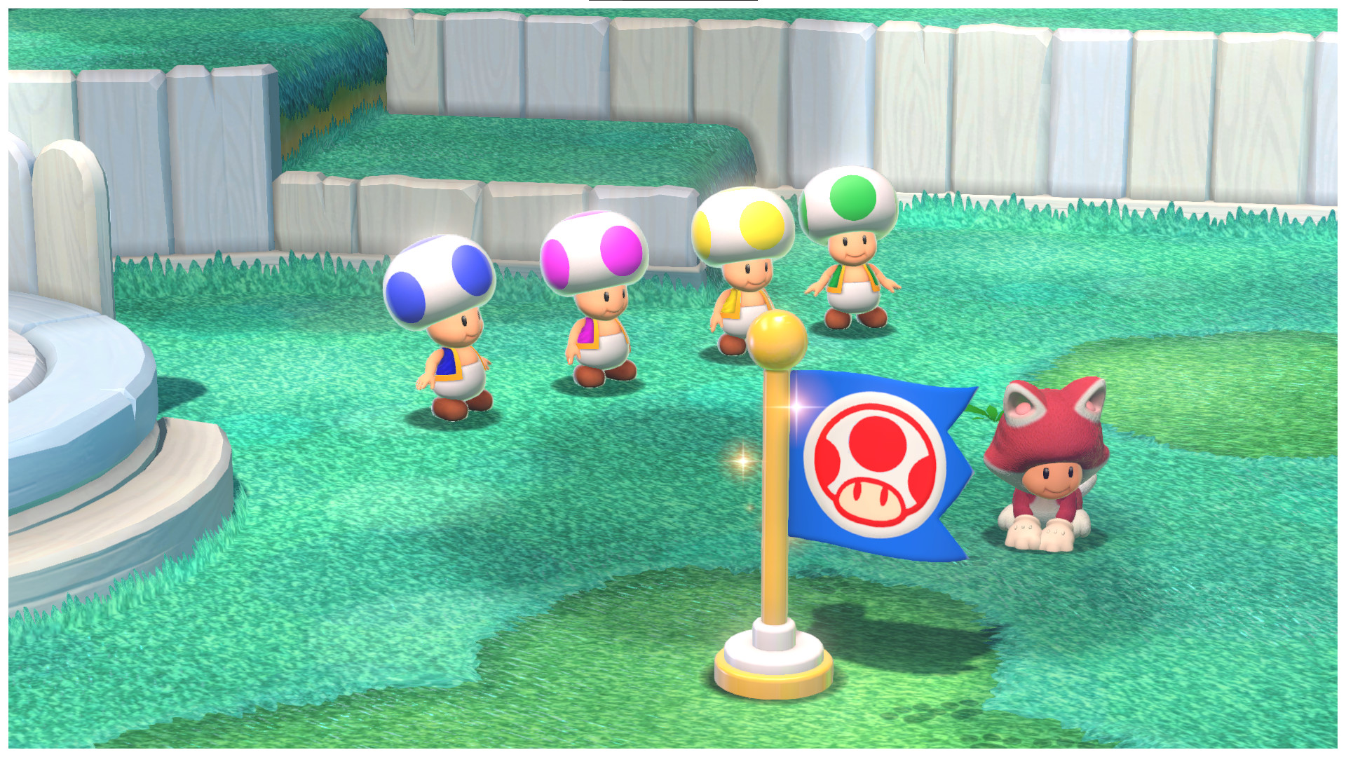 Classic Toad Mod for Super Mario 3D World + Bowser's Fury | SM3DW+BF Mods