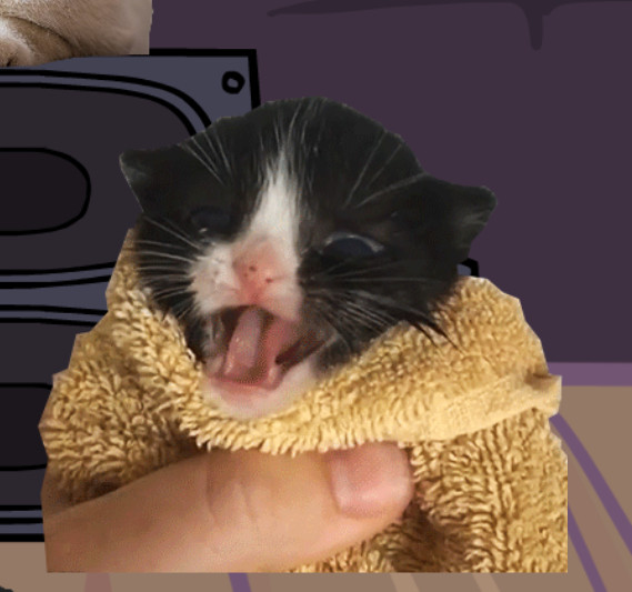 Friday Night Funkin - Cat Mod Mod for Friday Night Funkin' | FNF Mods