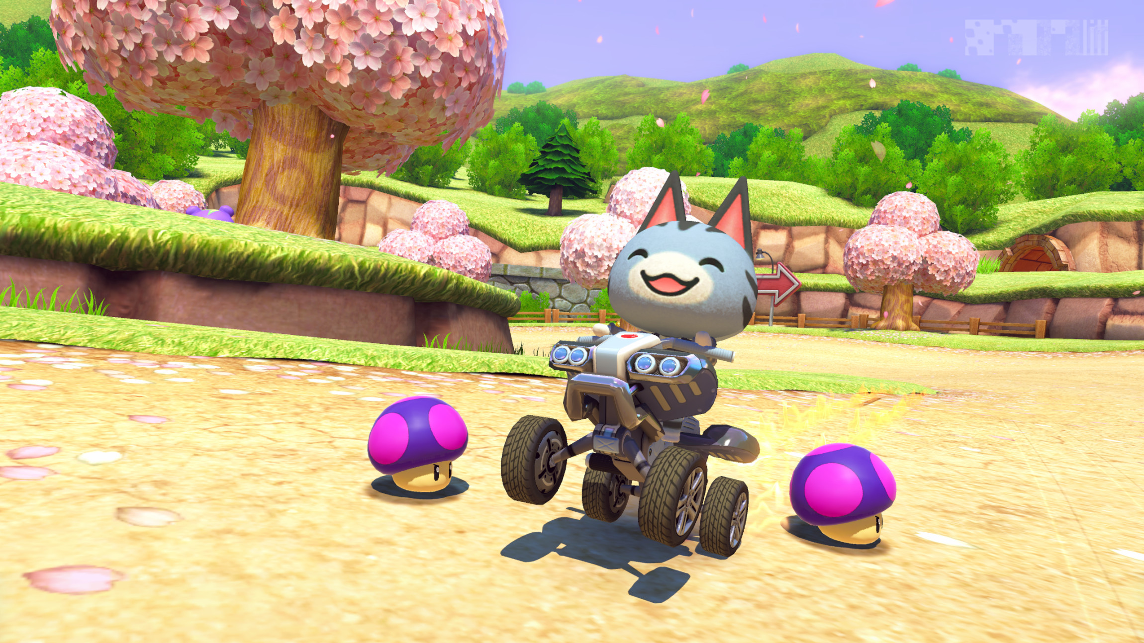 Lolly Mod for Mario Kart 8 | MK8 Mods