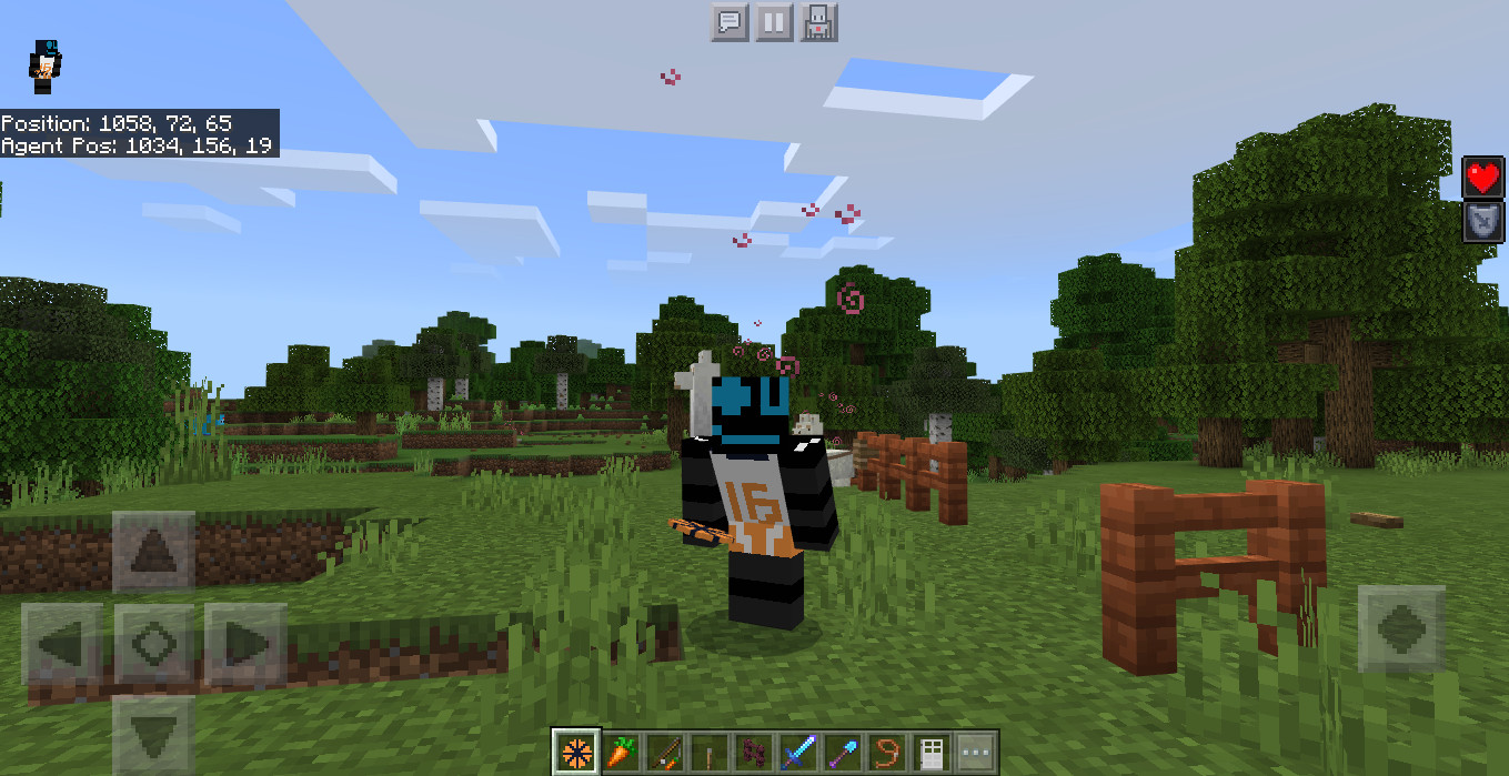 Hex And Basketball Mod Mod for Minecraft: Bedrock Edition | MC:BE Mods