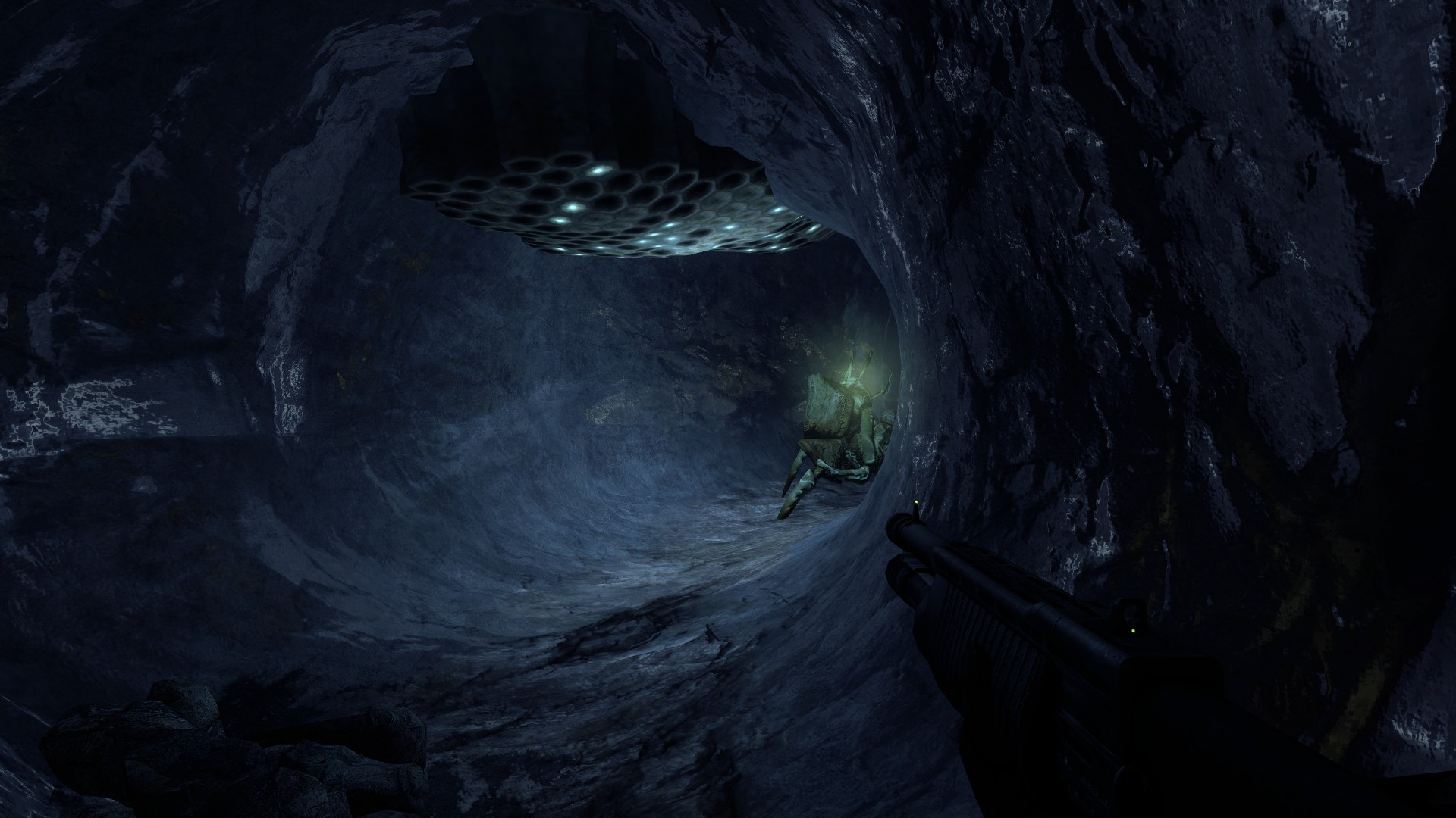 Pre-release EP2 Antlion Guardian Mod for Half-Life 2 | HL2 Mods