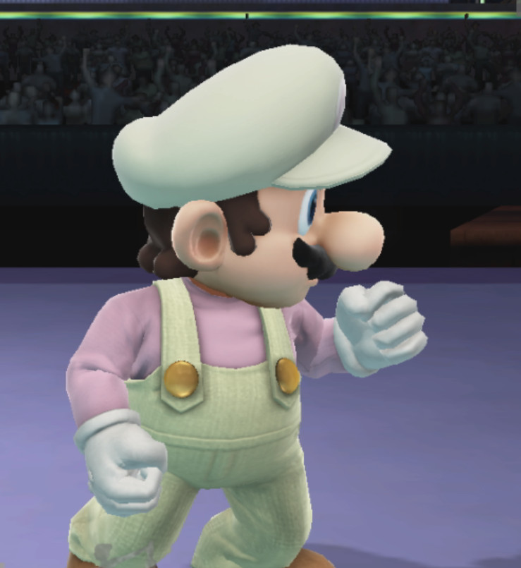 Flario (Flower Mario) Mod for Super Smash Bros. (Wii U) | SSB4U Mods