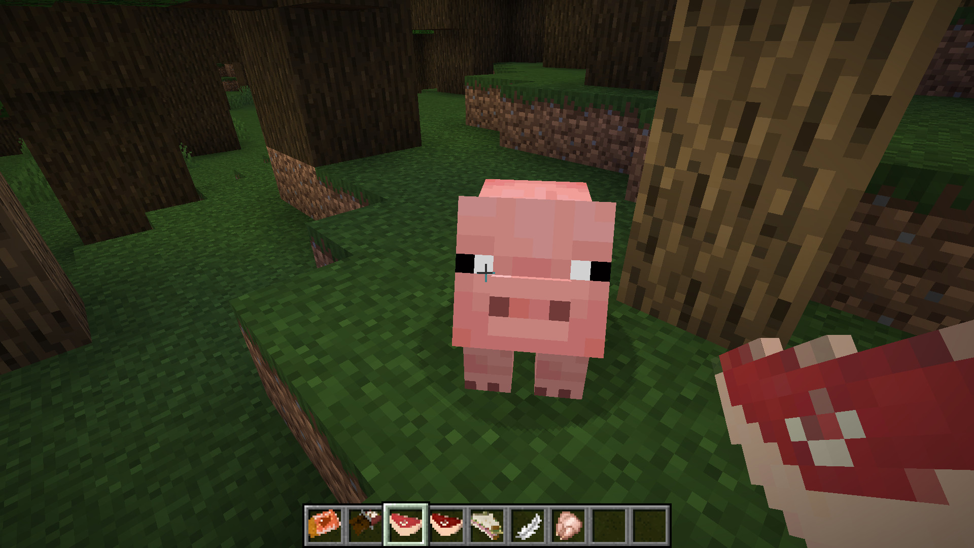 TF2 FOOD [Minecraft] [Mods]