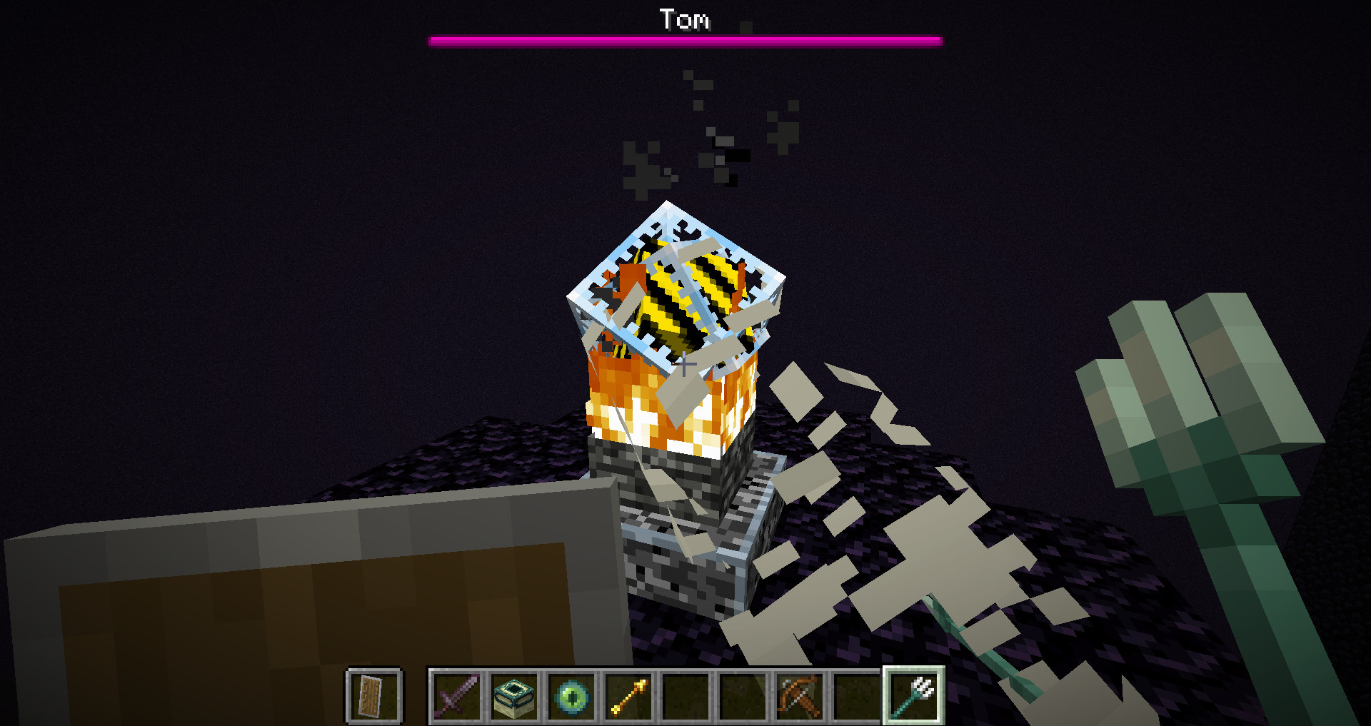 Tom the End Boss [Minecraft] [Mods]