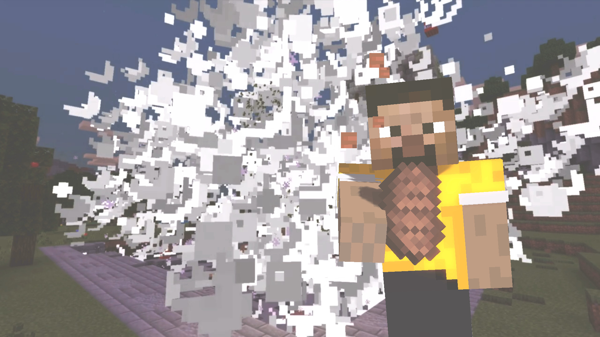 BLM Minecraft Skin Pack [Super Smash Bros. Ultimate] [Mods]