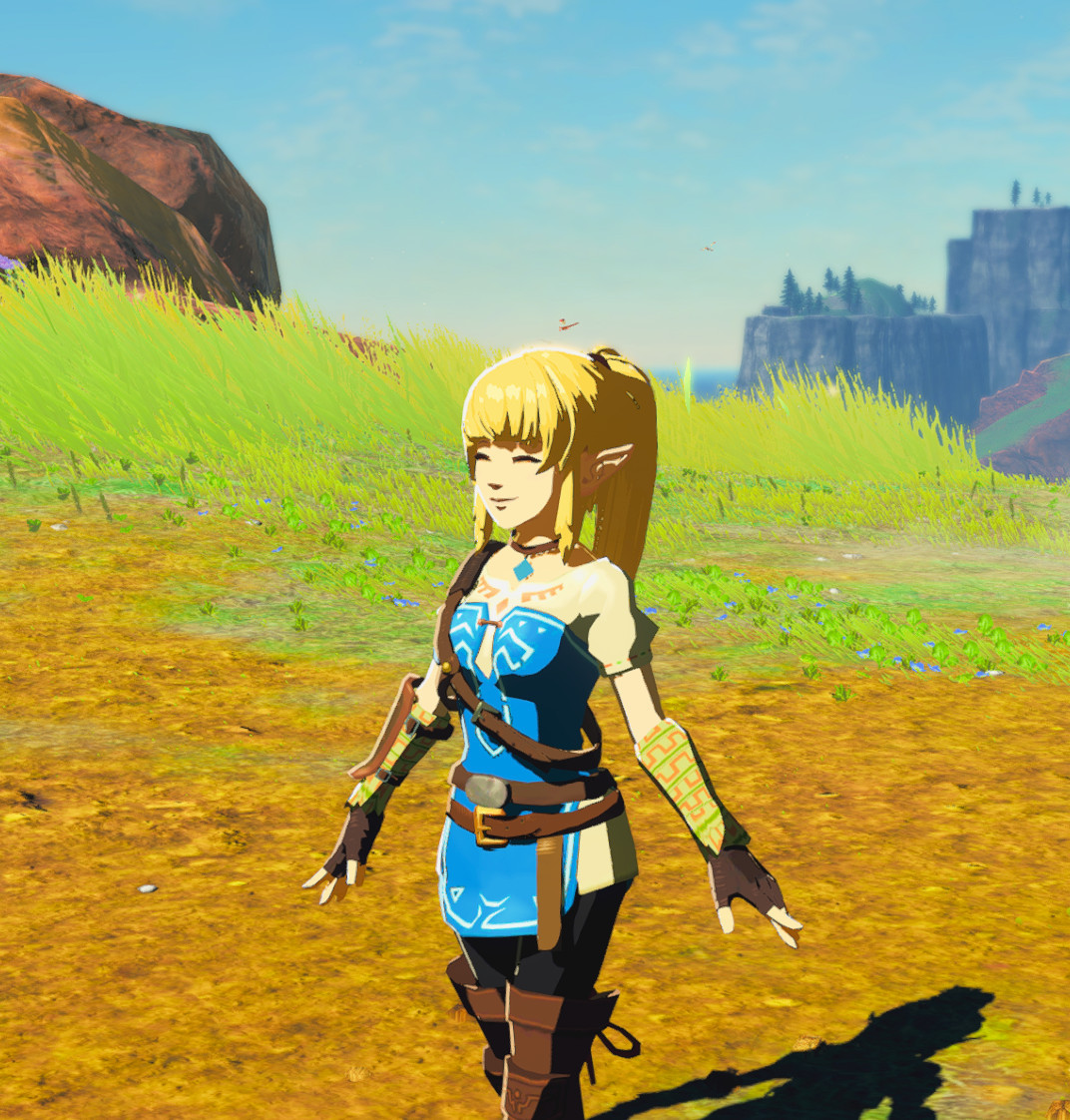 Wearable Ponytail NX Mod for The Legend of Zelda: Breath of the Wild ...