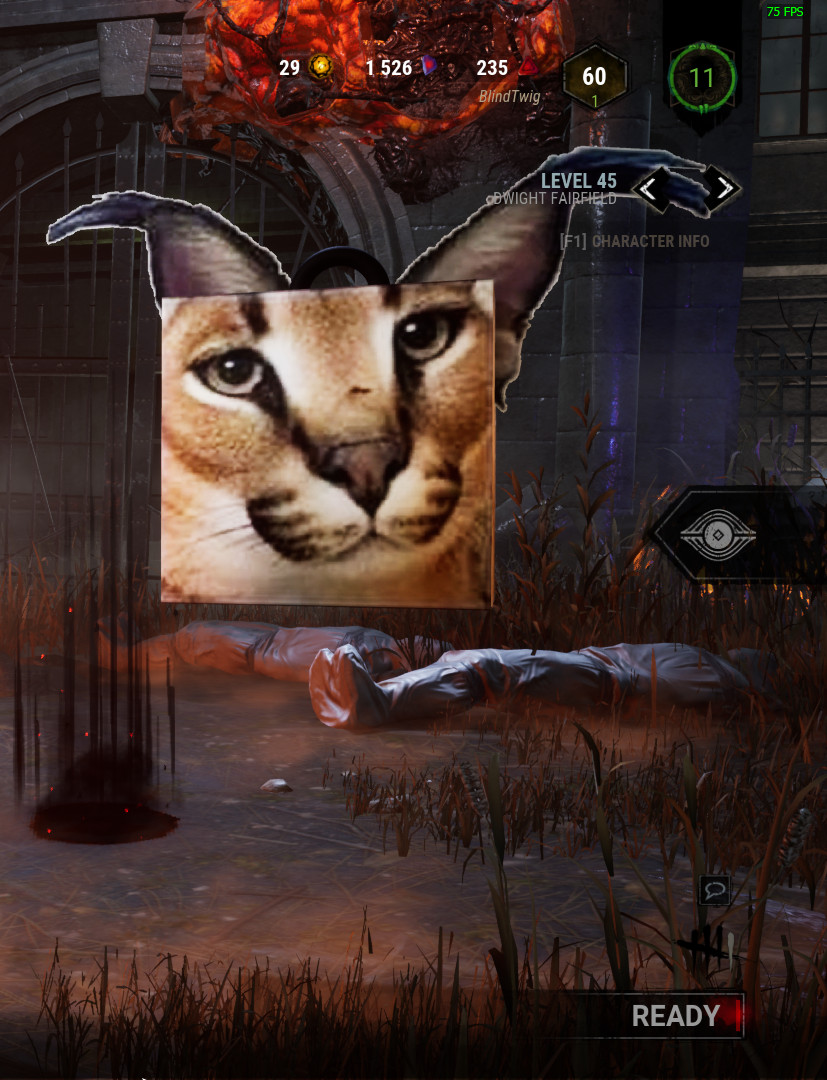 Floppa Cube Mod for Dead by Daylight | DBD Mods