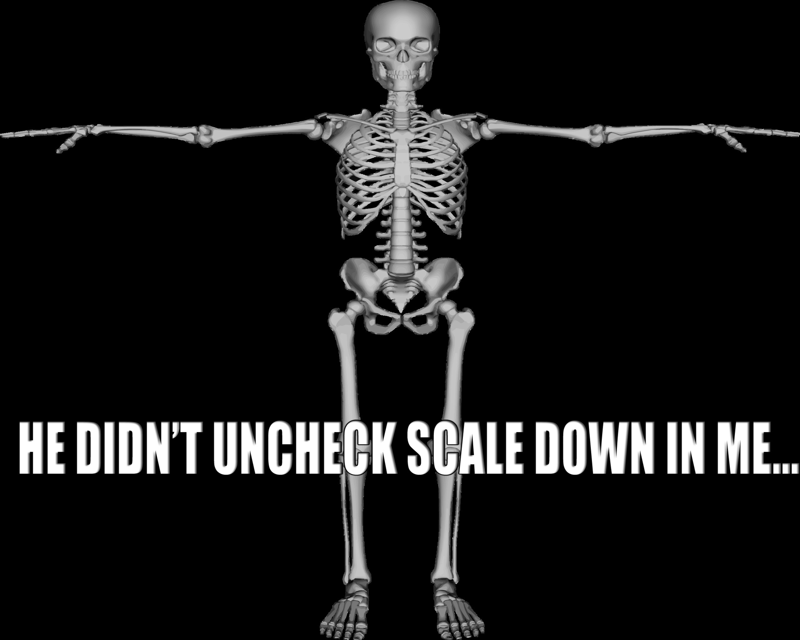 Skeleton | Homo sapiens Mod for Dead by Daylight | DBD Mods