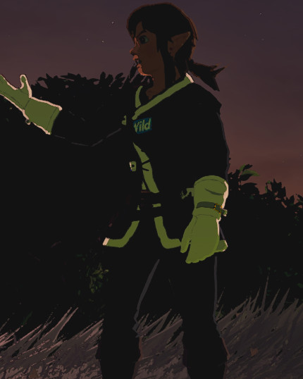 Drip of the Wild Mod for The Legend of Zelda: Breath of the Wild (WiiU ...