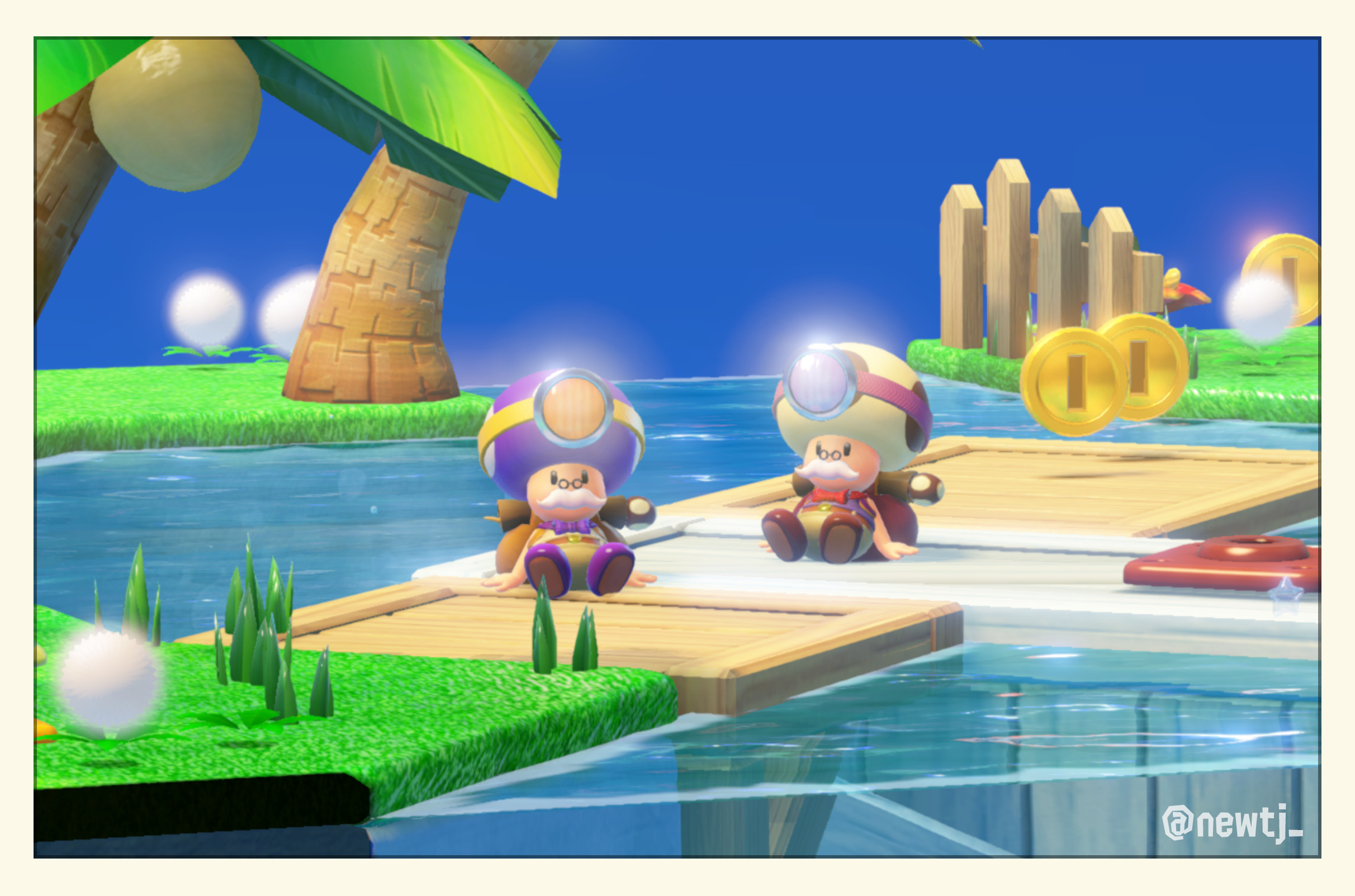 Captain Toadsworth Mod for Captain Toad: Treasure Tracker (Switch) | CT ...