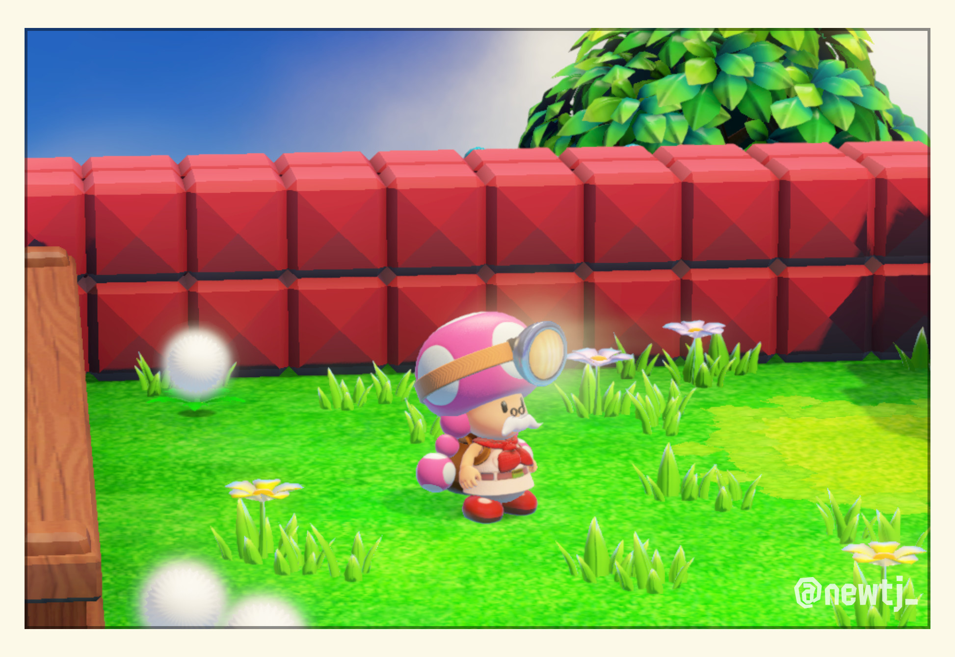 Captain Toadsworth Mod for Captain Toad: Treasure Tracker (Switch) | CT ...