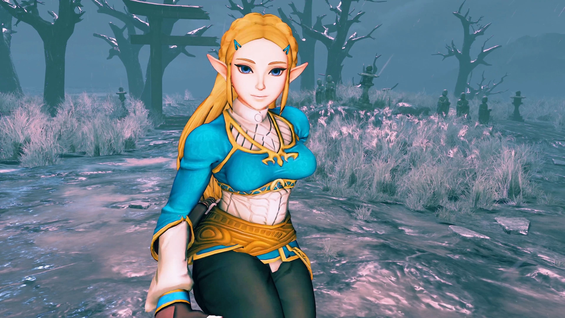 Street Fighter 5 Hyrule Warriors Zelda BOTW Mod Mod for Street Fighter ...