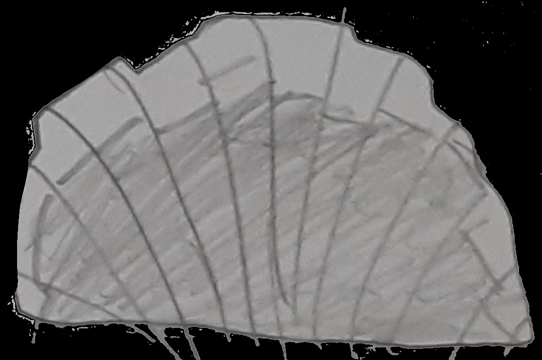 Paper Lord X [Friday Night Funkin'] [Mods]