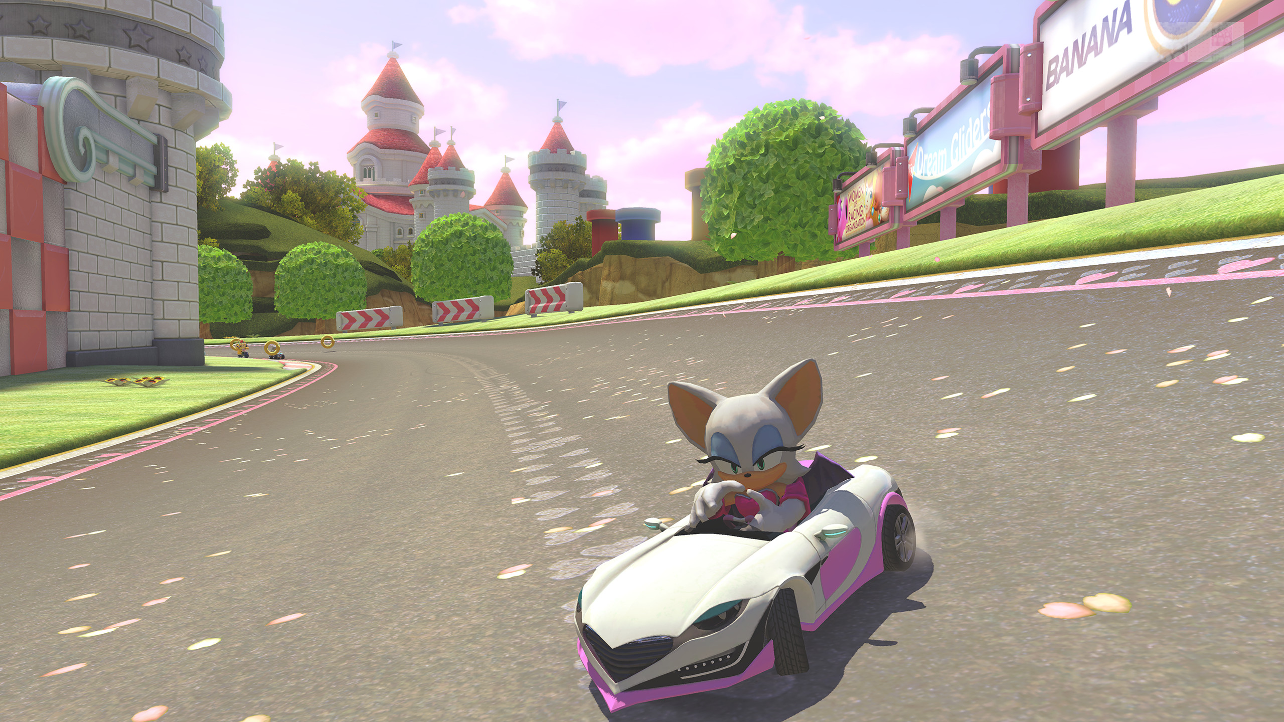 Lip Spyder from TSR [Mario Kart 8] [Mods]