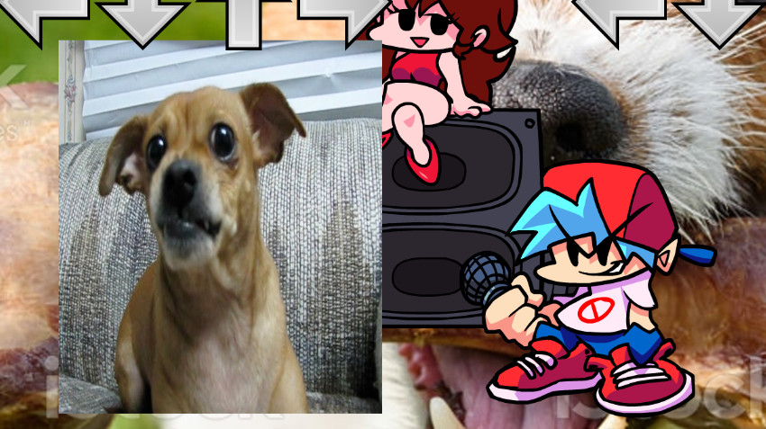 Dog/Cat over Bogus [Friday Night Funkin'] [Mods]