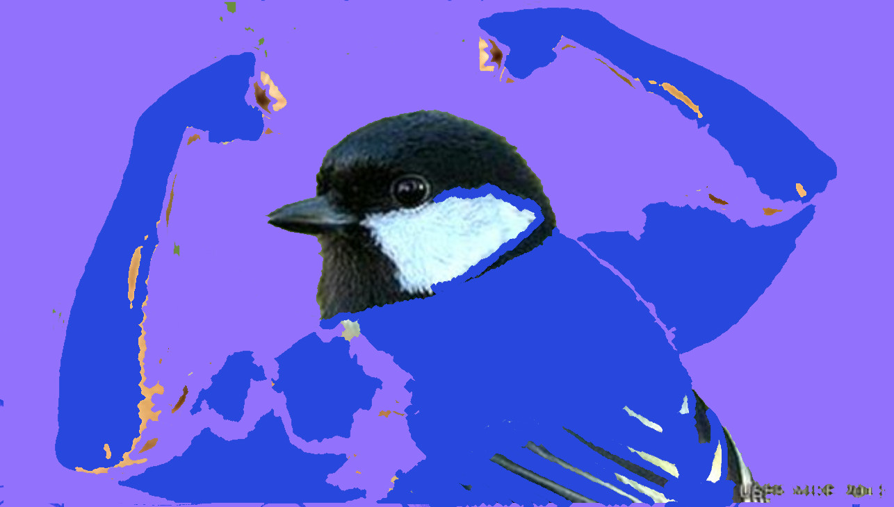 VS BIRD full week Mod for Friday Night Funkin' | FNF Mods