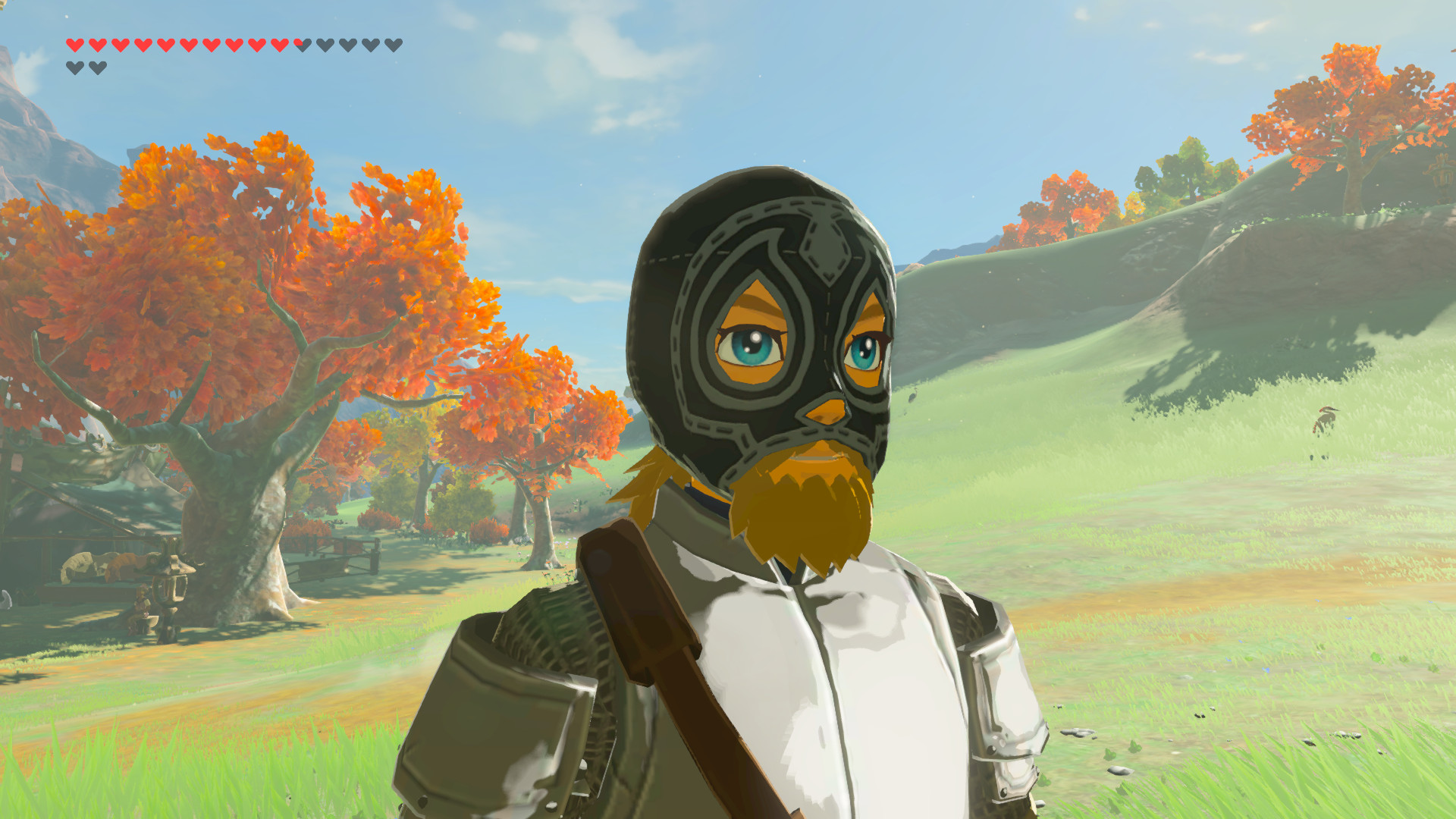 Bearded Link Mod for The Legend of Zelda: Breath of the Wild (WiiU ...