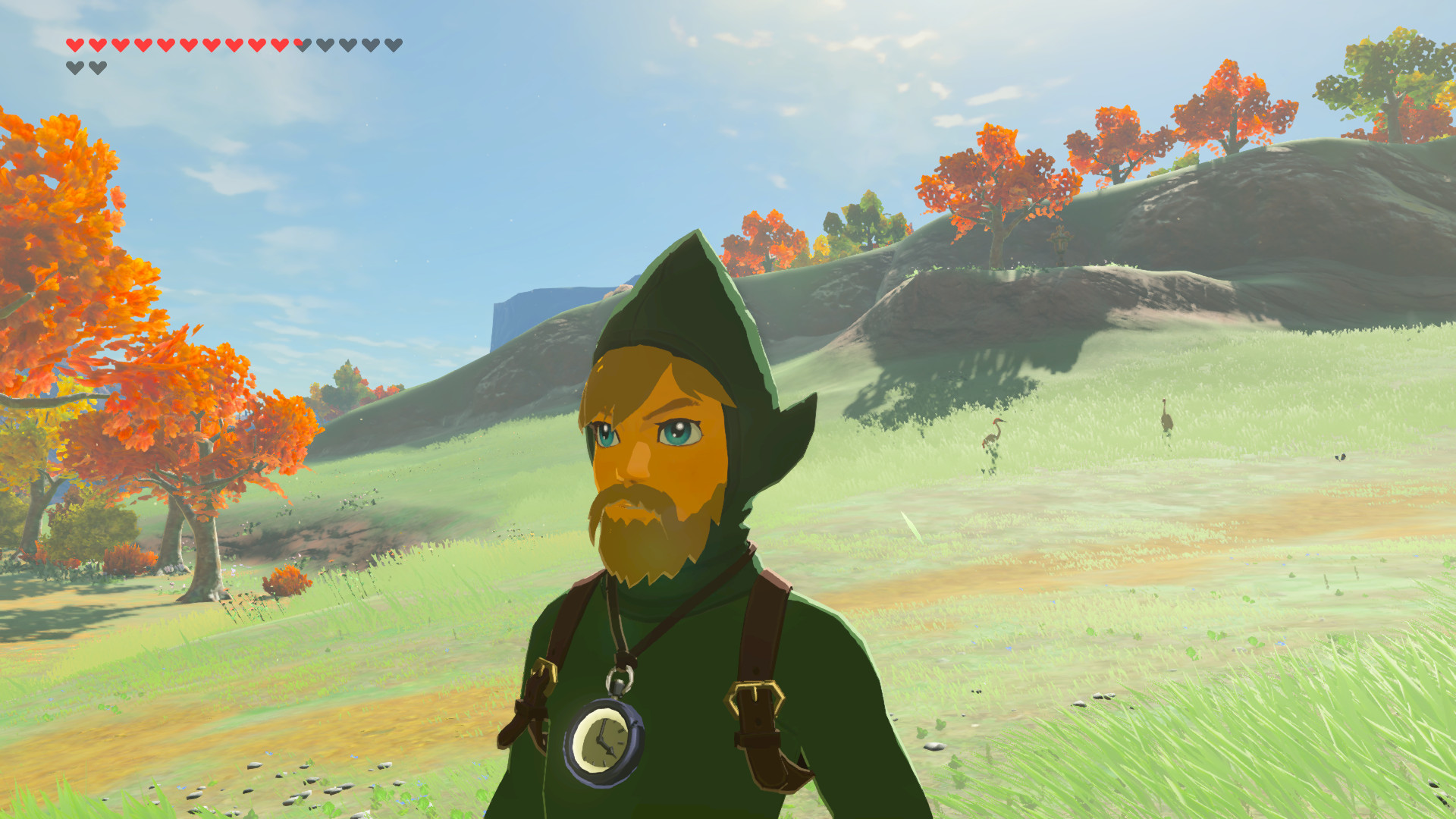 Bearded Link Mod for The Legend of Zelda: Breath of the Wild (WiiU ...