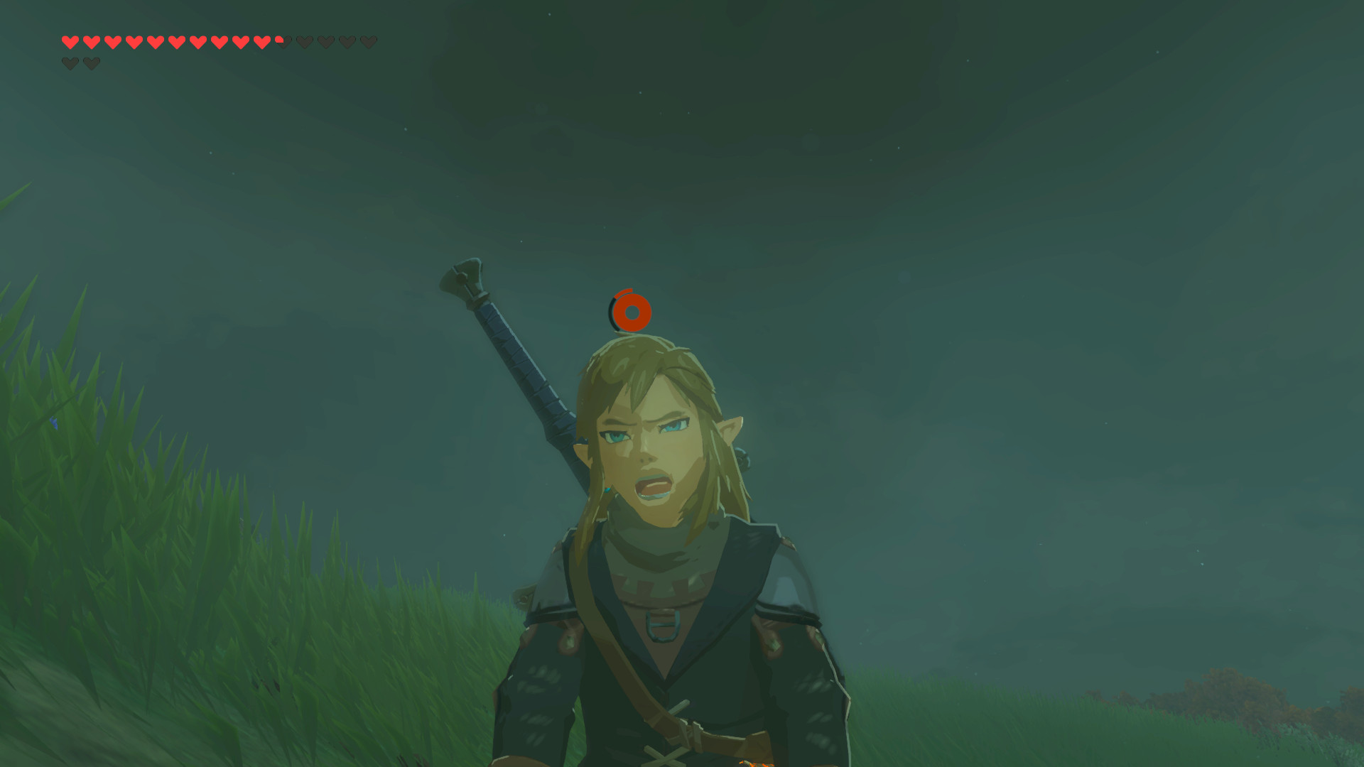 Adult Link (OoT Face Shape) Mod for The Legend of Zelda: Breath of the Wild (WiiU) | BotW Mods