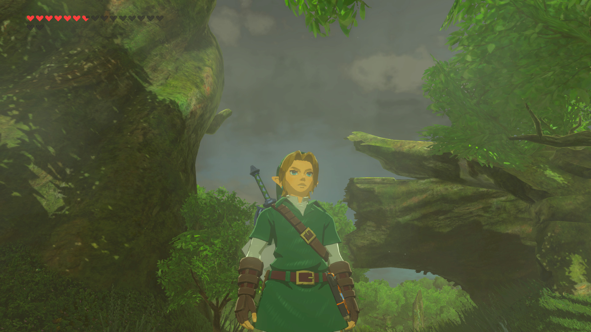 Adult Link (OoT Face Shape) Mod for The Legend of Zelda: Breath of the ...
