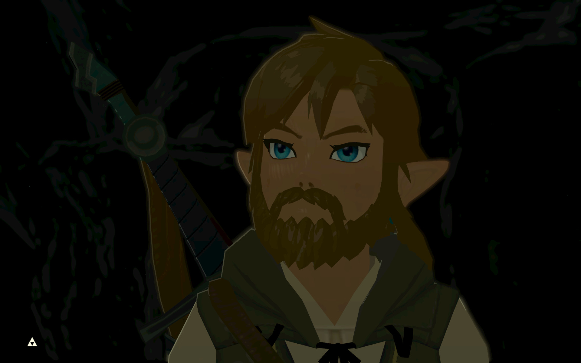 Adult Link (OoT Face Shape) Mod for The Legend of Zelda: Breath of the Wild (WiiU) | BotW Mods