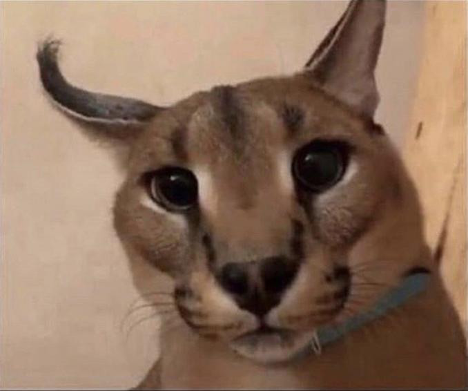 Friday Night Floppin' (VS Chair Floppa) [Friday Night Funkin'] [Mods]