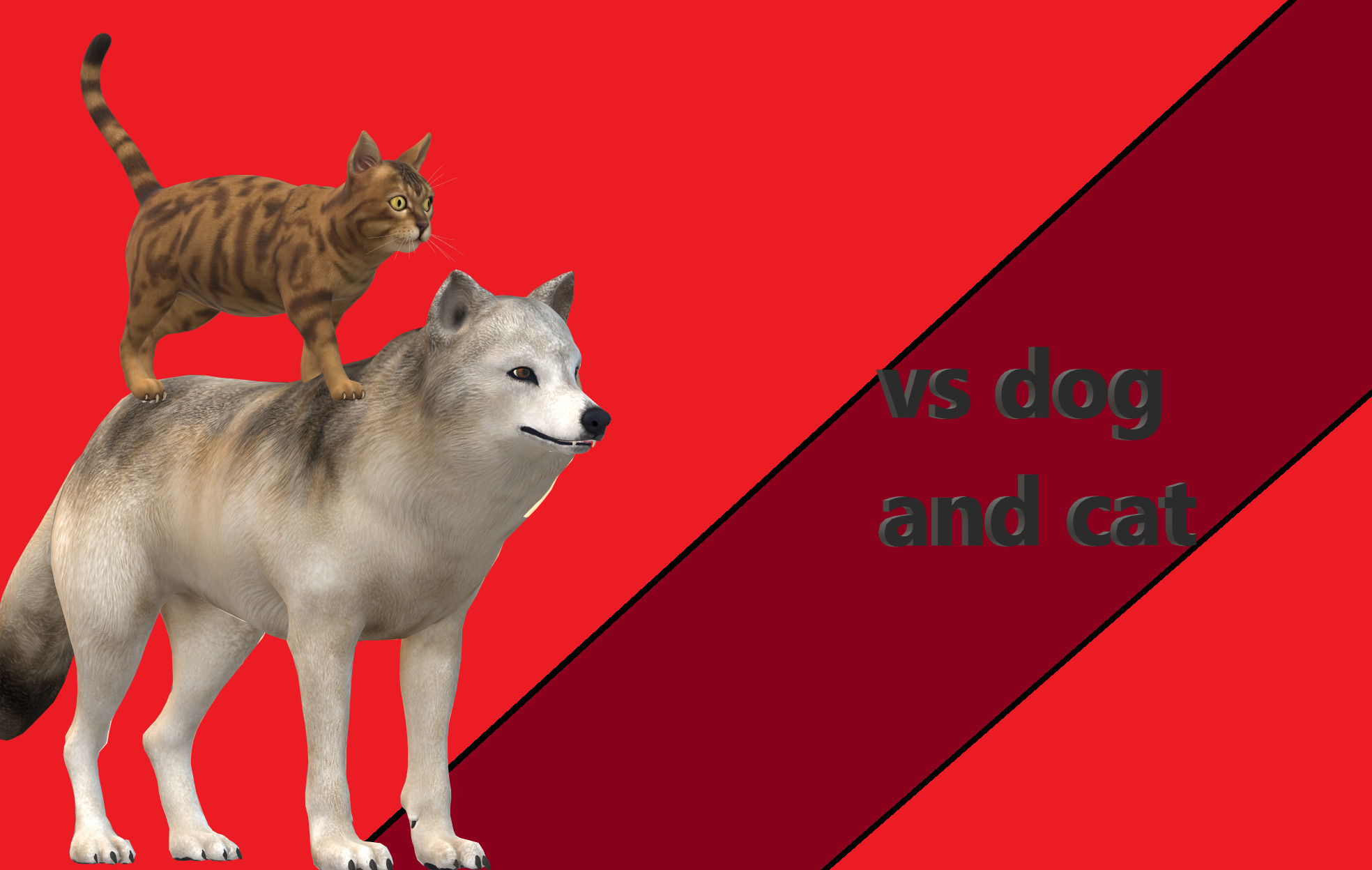 Vs dog and cat (v1 OLD) Mod for Friday Night Funkin' | FNF Mods