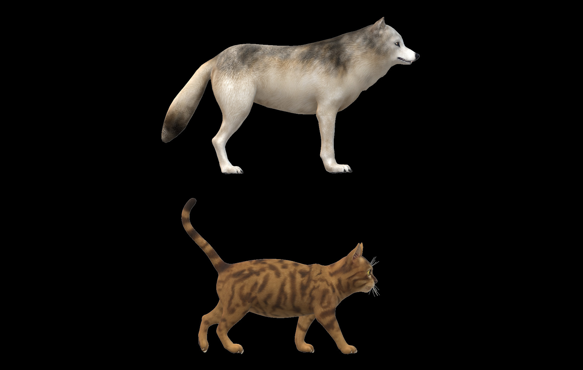 Vs dog and cat (v1 OLD) Mod for Friday Night Funkin' | FNF Mods