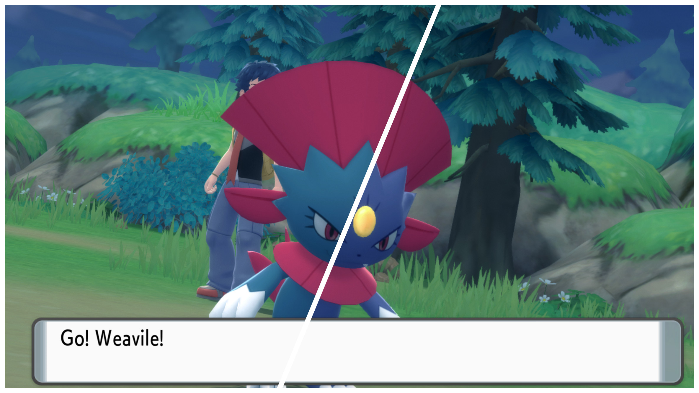Weavile Evolution Shield