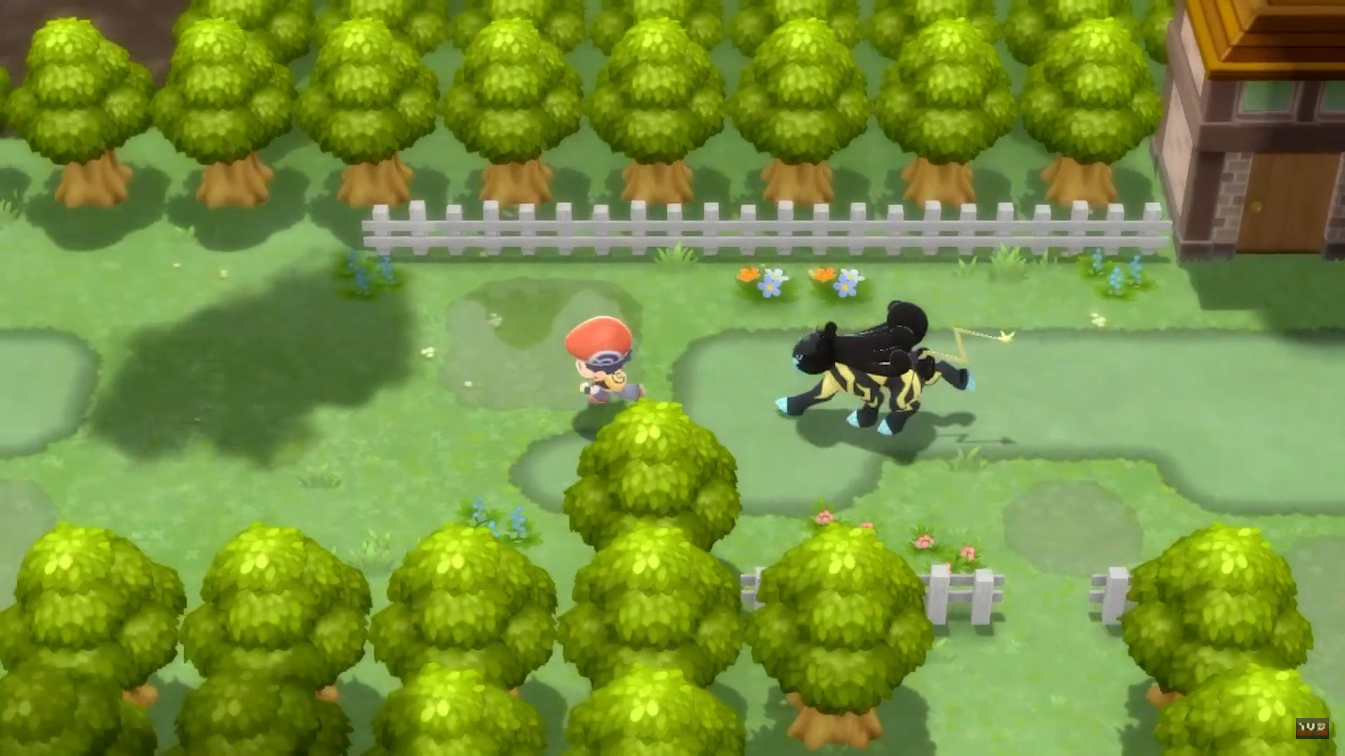 Galarian Raikou Dark/Electric type BDSP [Pokemon Brilliant Diamond and ...