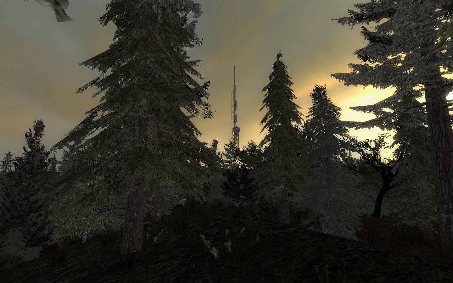 gm_woodland [Garry's Mod] [Mods]