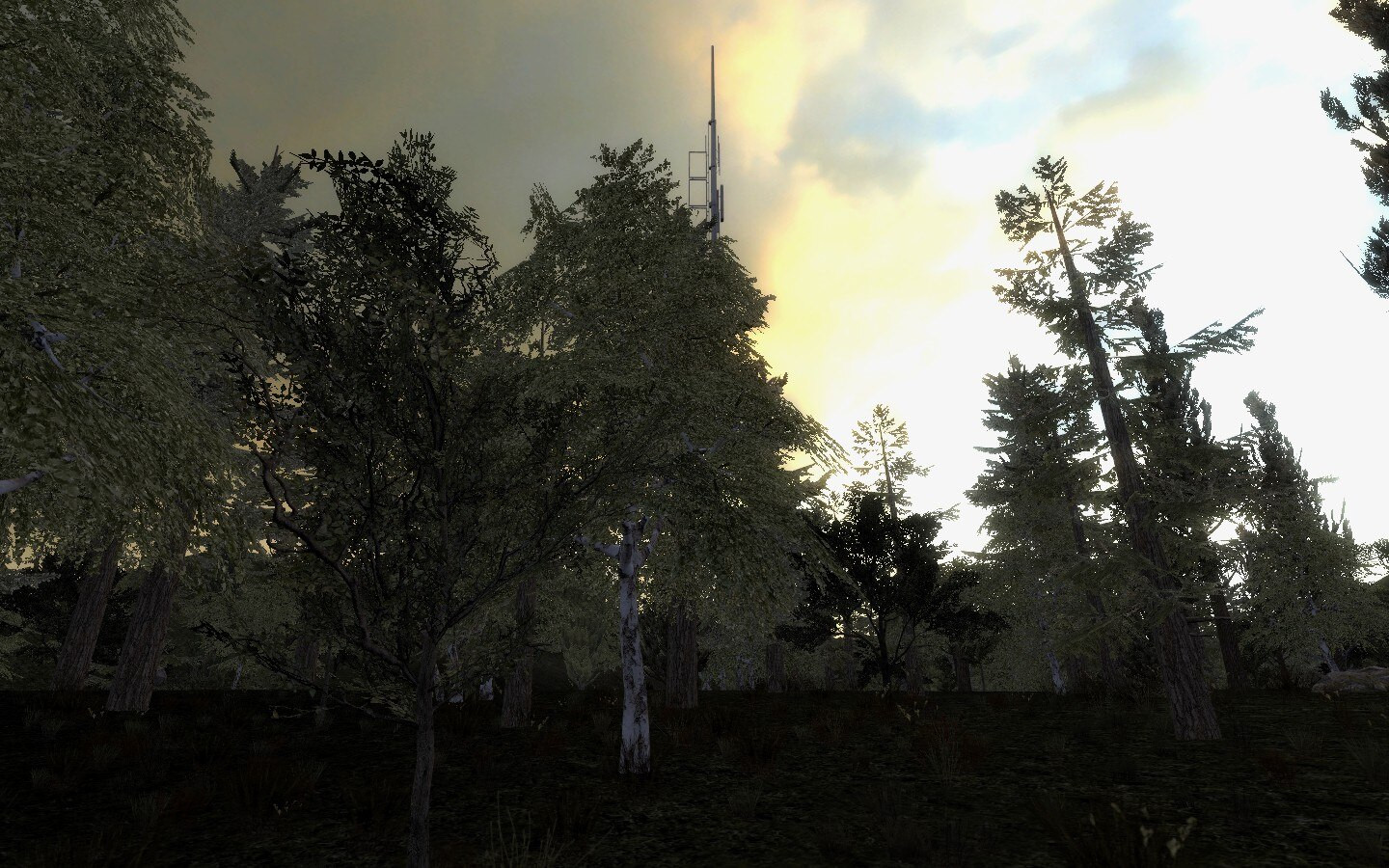 gm_woodland [Garry's Mod] [Mods]