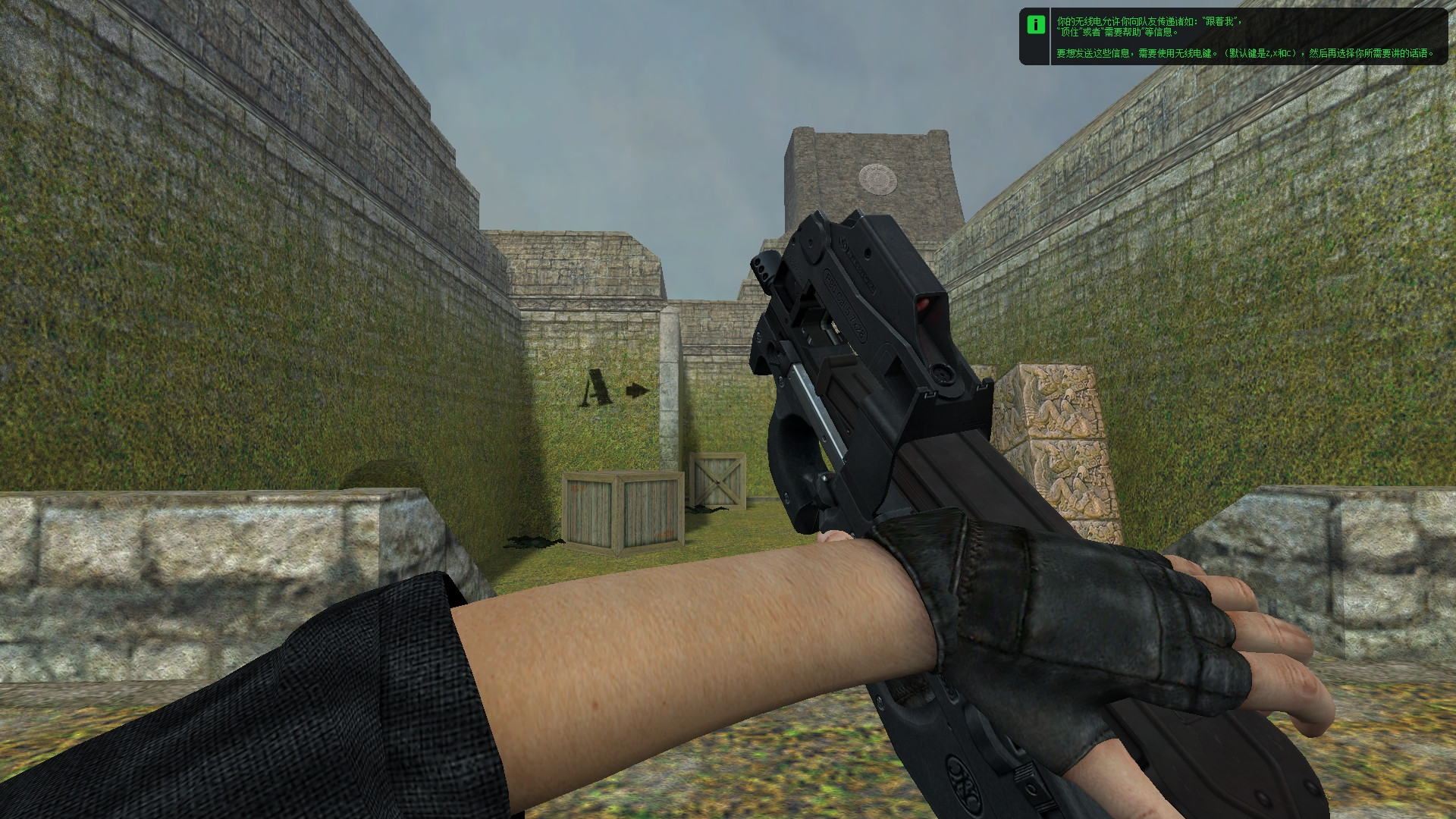 Arby26's P90 Animations Mod for Counter-Strike 1.6 | CS1.6 Mods