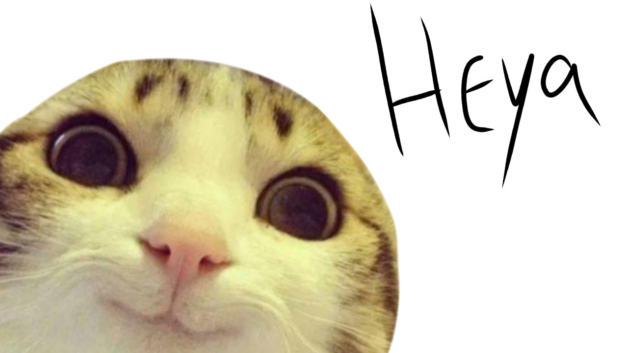 V.S Cat MEME Mod for Friday Night Funkin' | FNF Mods