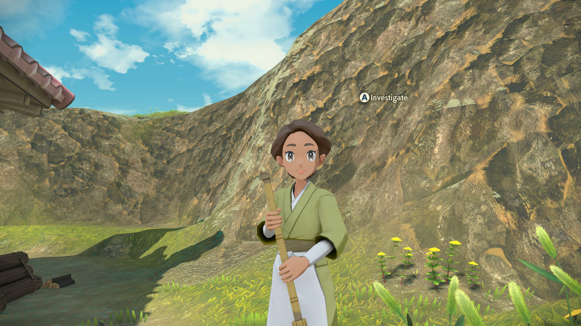 Comprehensive HD Character & Clothing Texture Pack Mod for Pokémon ...