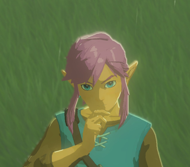 Pink Link Nostalgia Bait - Hair Color Mod for The Legend of Zelda ...