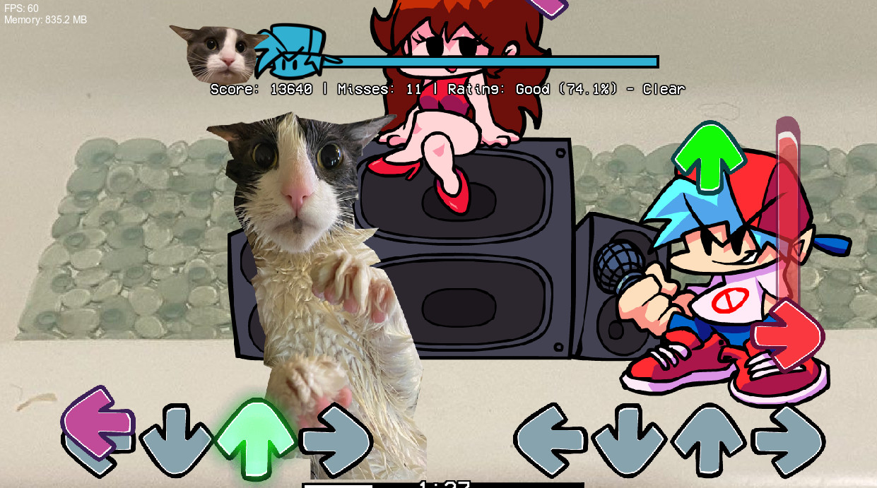 Vs soggy cat Mod for Friday Night Funkin' | FNF Mods