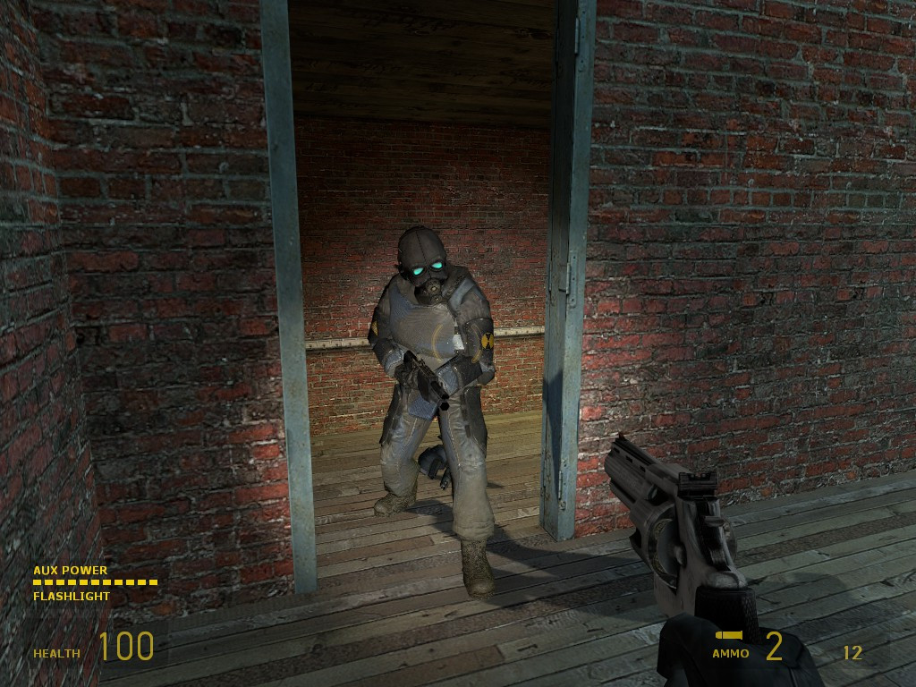 Randomized Combine Soldiers (48 Unique Textures!!) [Half-Life 2] [Mods]