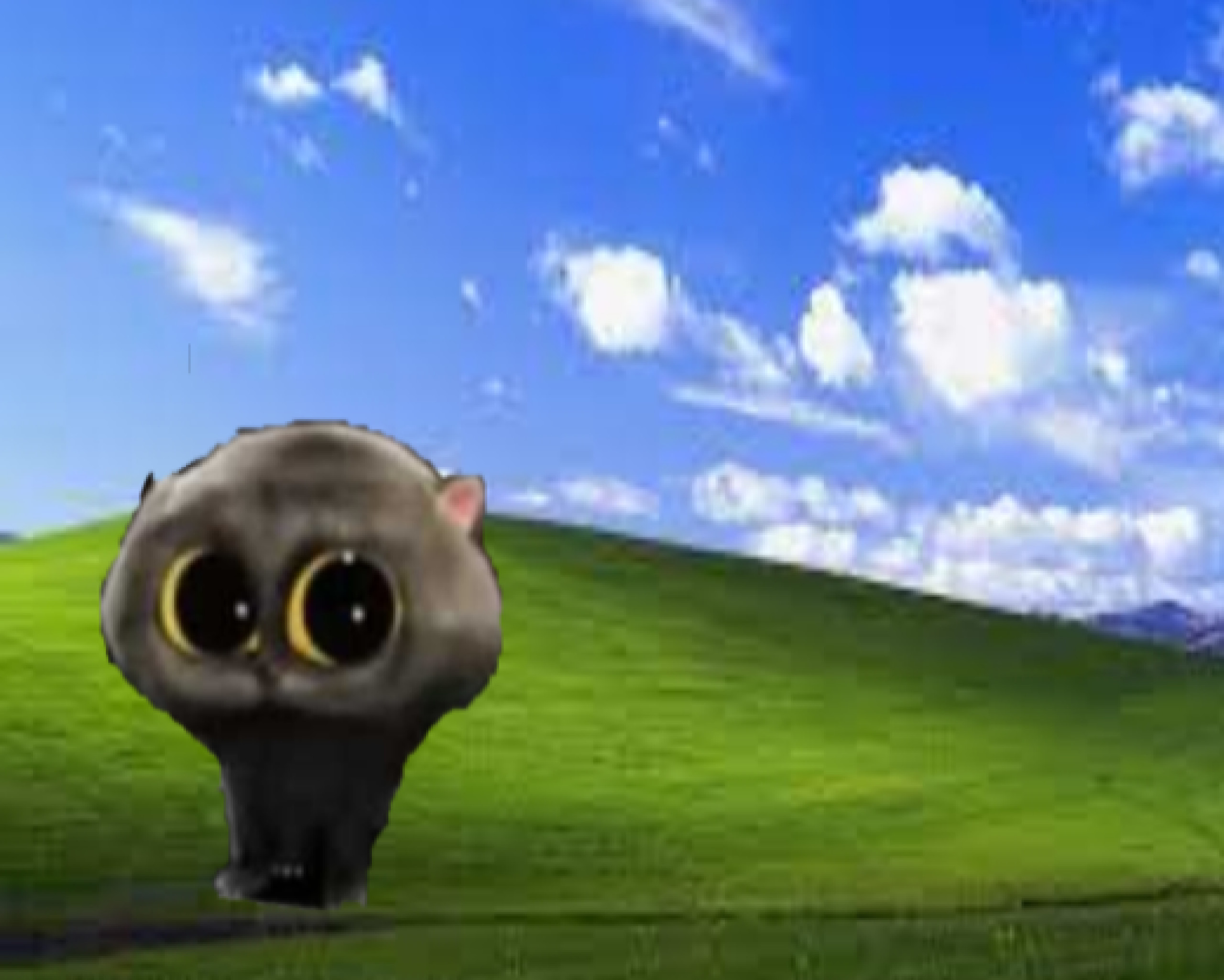 VS SCATMAN CAT / FRIDAY NIGHT FUNKIN [Friday Night Funkin'] [Mods]