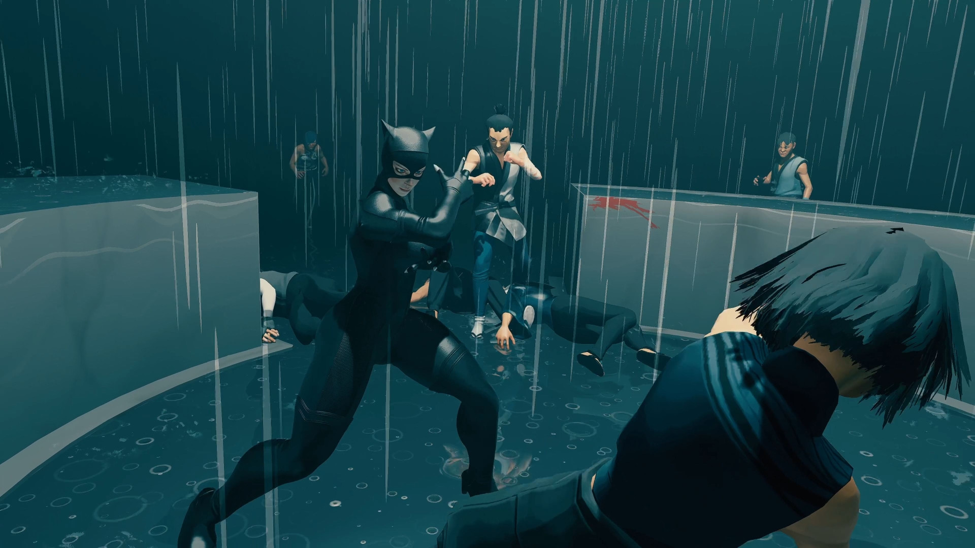 Sifu Street Fighter 5 Poison Catwoman Mod Mod for Sifu | Sifu Mods