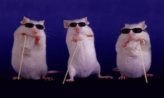 FNF DIAMOND APPLE EDITION [Friday Night Funkin'] [Mods]