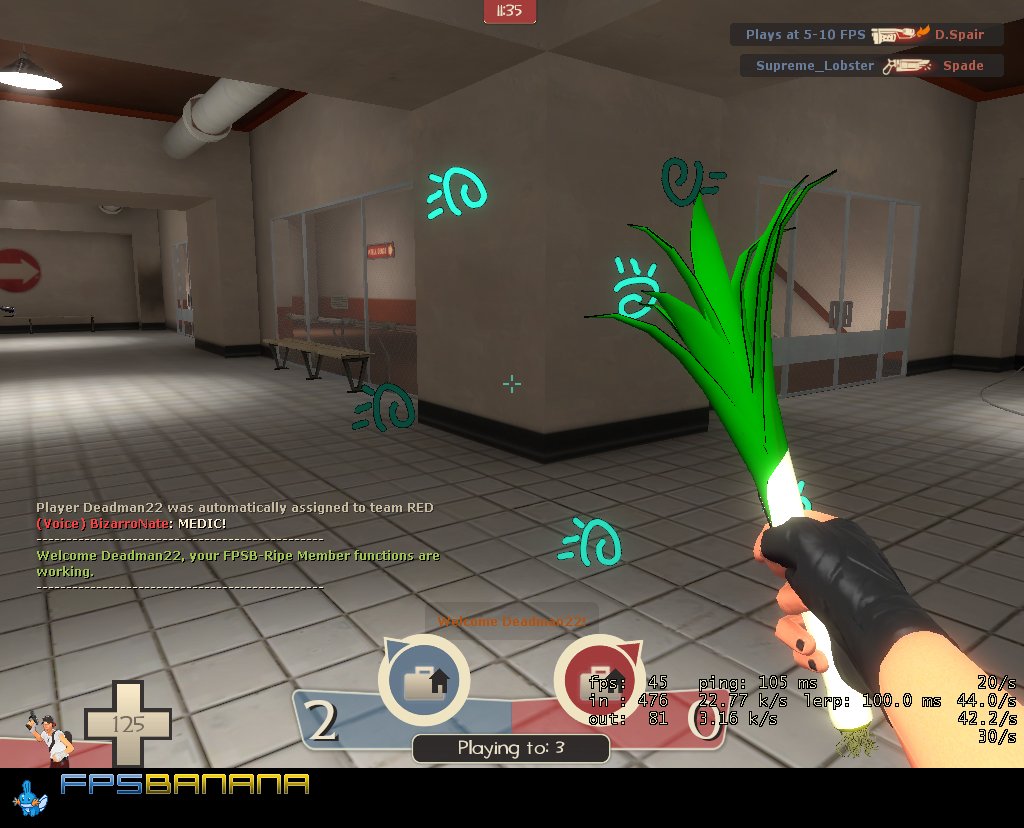 Leek Spin Mod for Team Fortress 2 | TF2 Mods