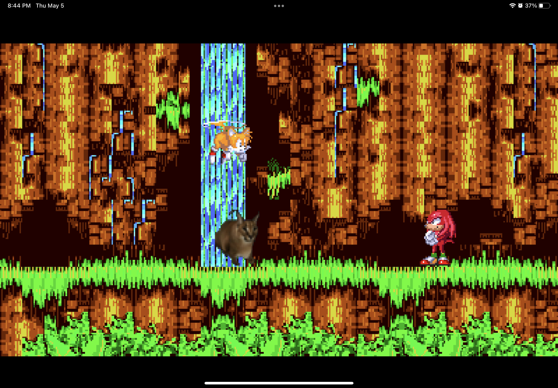 Big Floppa 2.0 Mod for Sonic 3 A.I.R. | S3AIR Mods