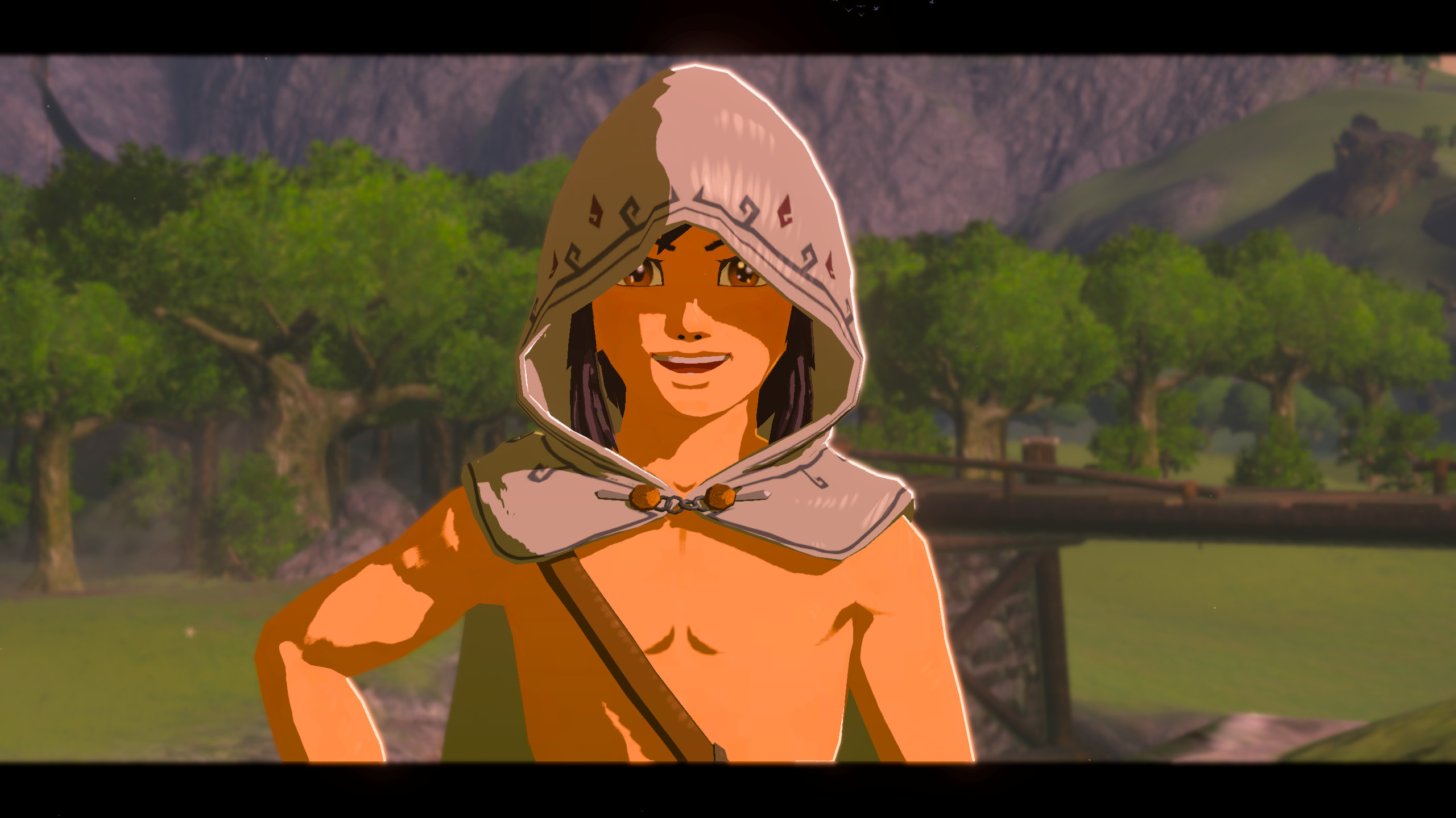 Link Black hair & Brown eyes Mod for The Legend of Zelda: Breath of the ...