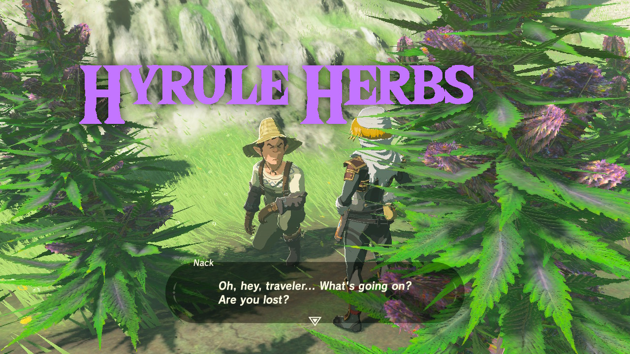 [SENSITIVE CONTENT] Hyrule Herbs (Switch) Mod for The Legend of Zelda ...