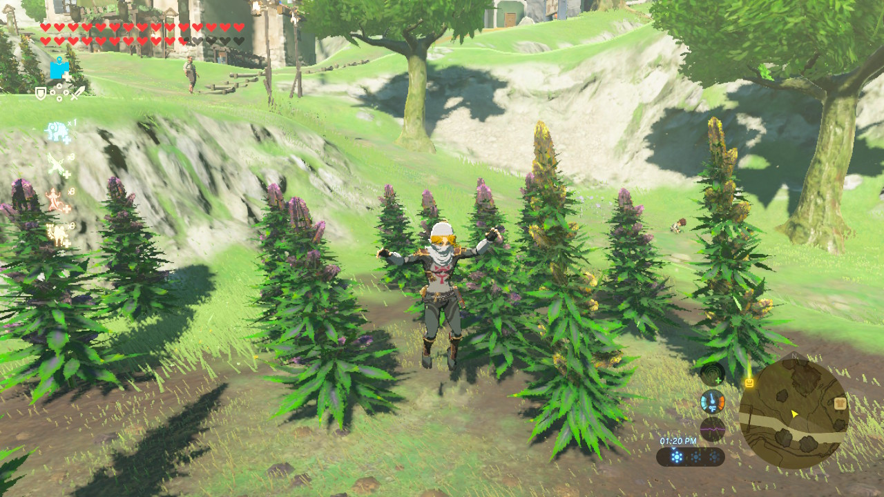 [SENSITIVE CONTENT] Hyrule Herbs (WiiU) Mod for The Legend of Zelda ...