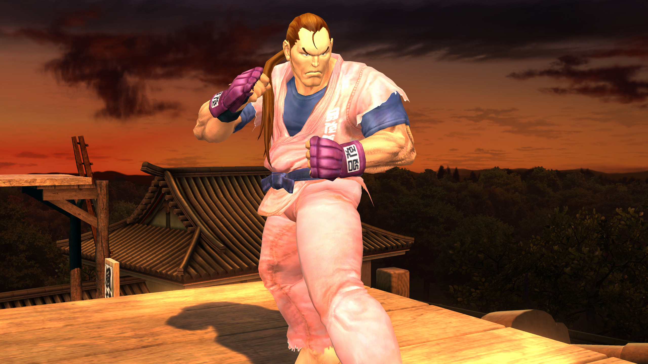 Dan [Super Smash Bros. (Wii U)] [Mods]