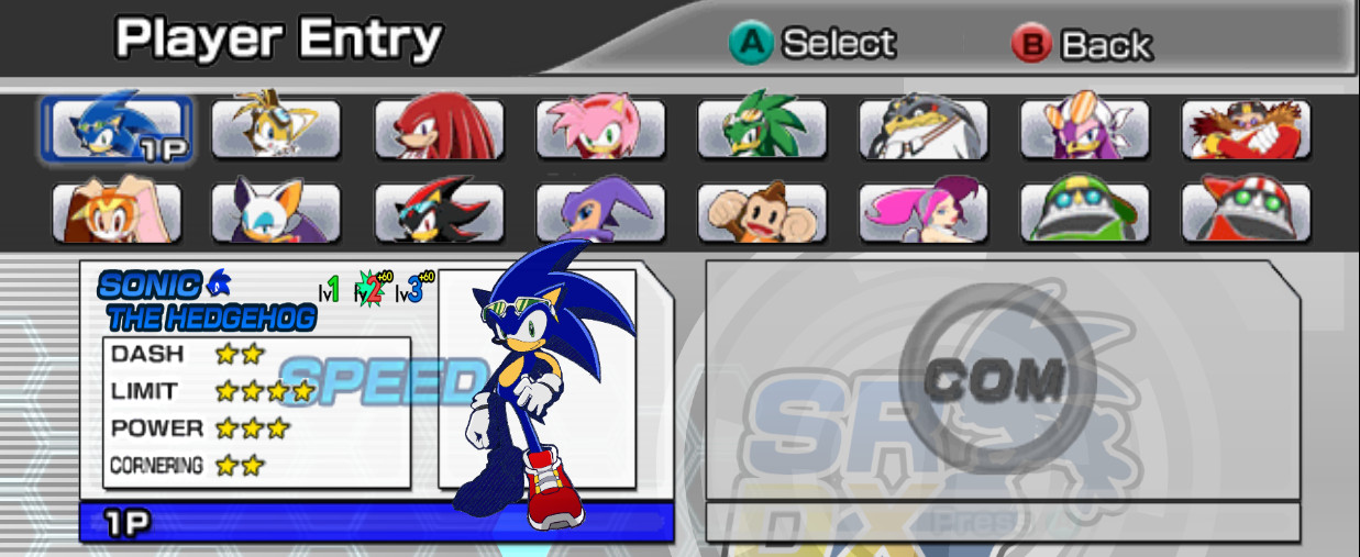 Sonic Riders Characters