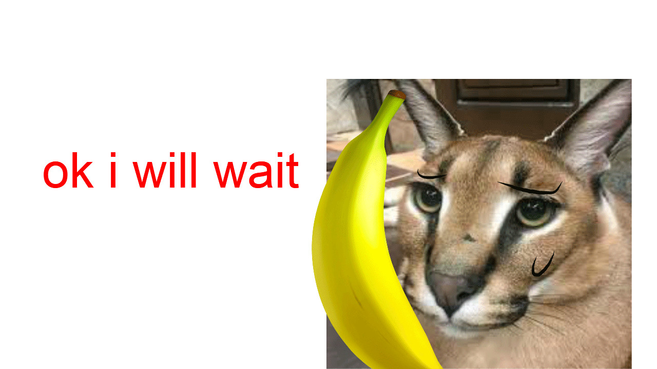 Floppa over BF! (Remastered) [Friday Night Funkin'] [Mods]